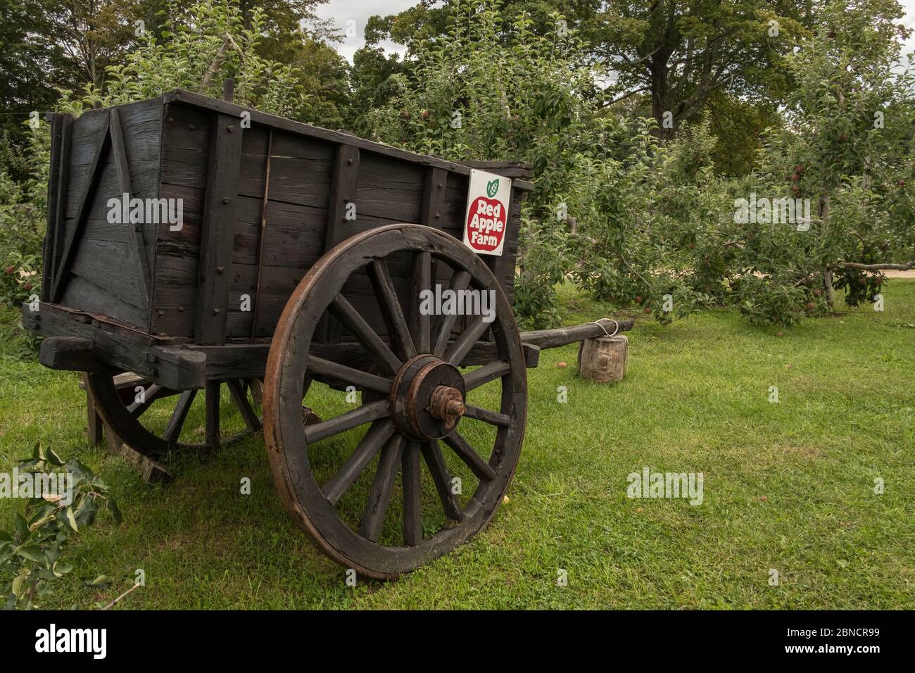 Old farm wagon hi-res stock photography and images - Alamy
