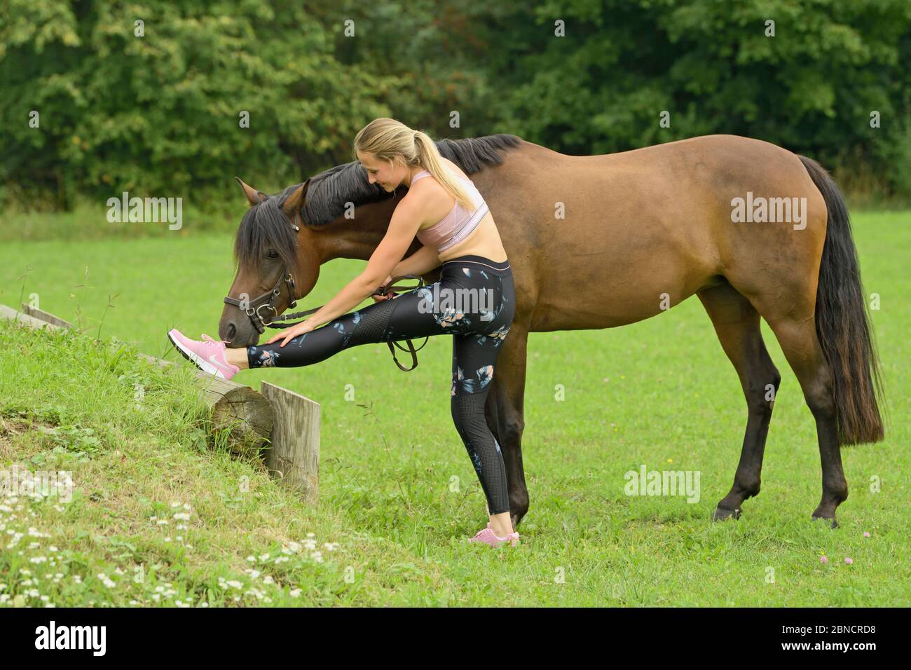 Woman and pony hi-res stock photography and images - Alamy