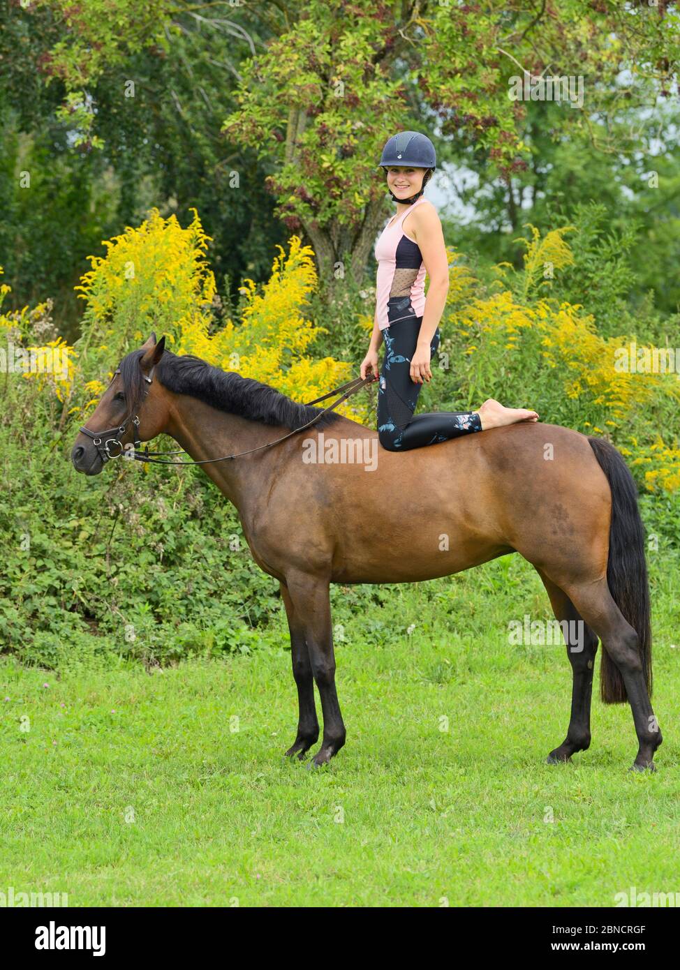 Horses having fun hi-res stock photography and images - Alamy