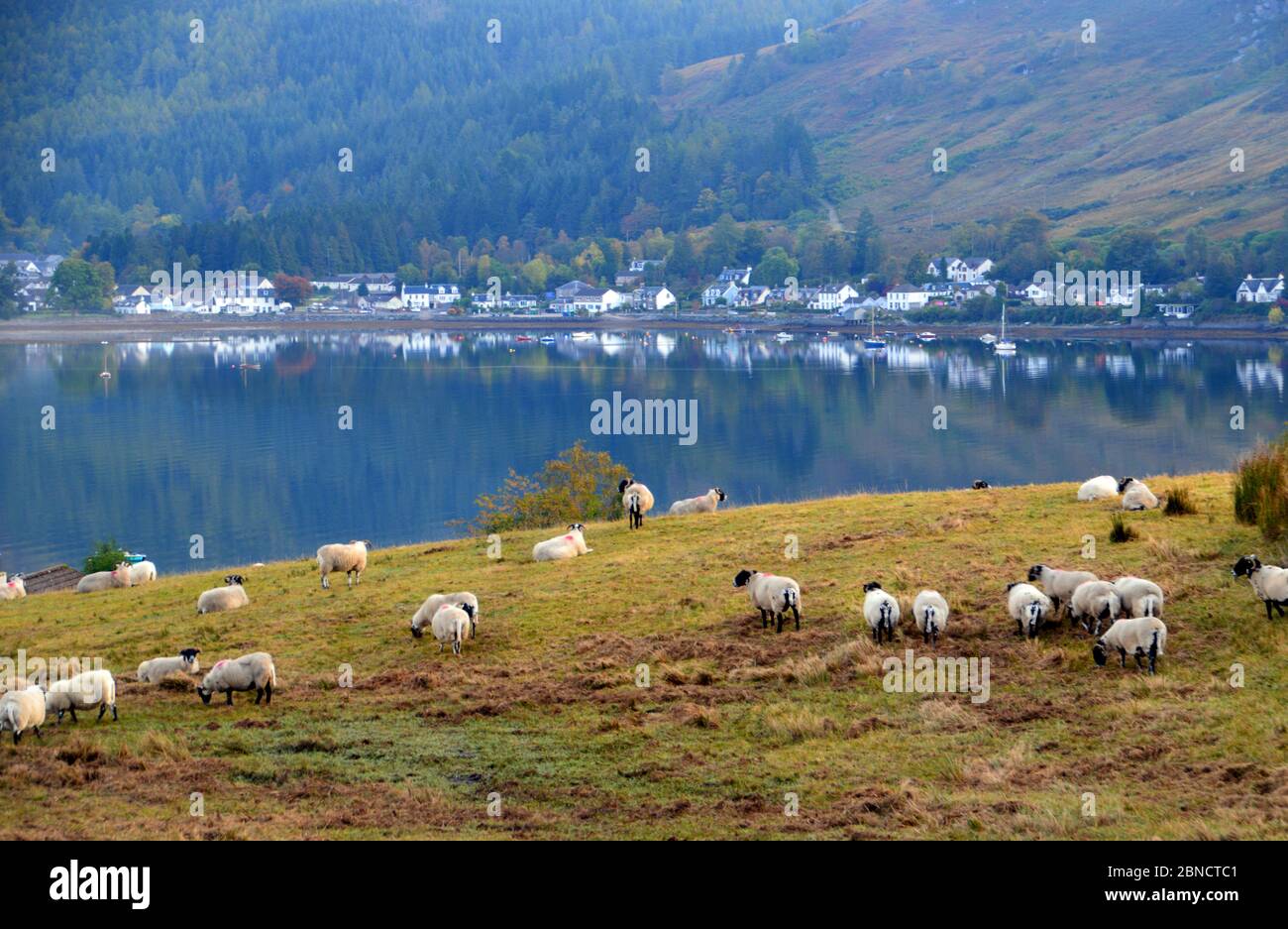 Lochgoilhead on Loch Goil from above Lettermay on route to the Scottish ...