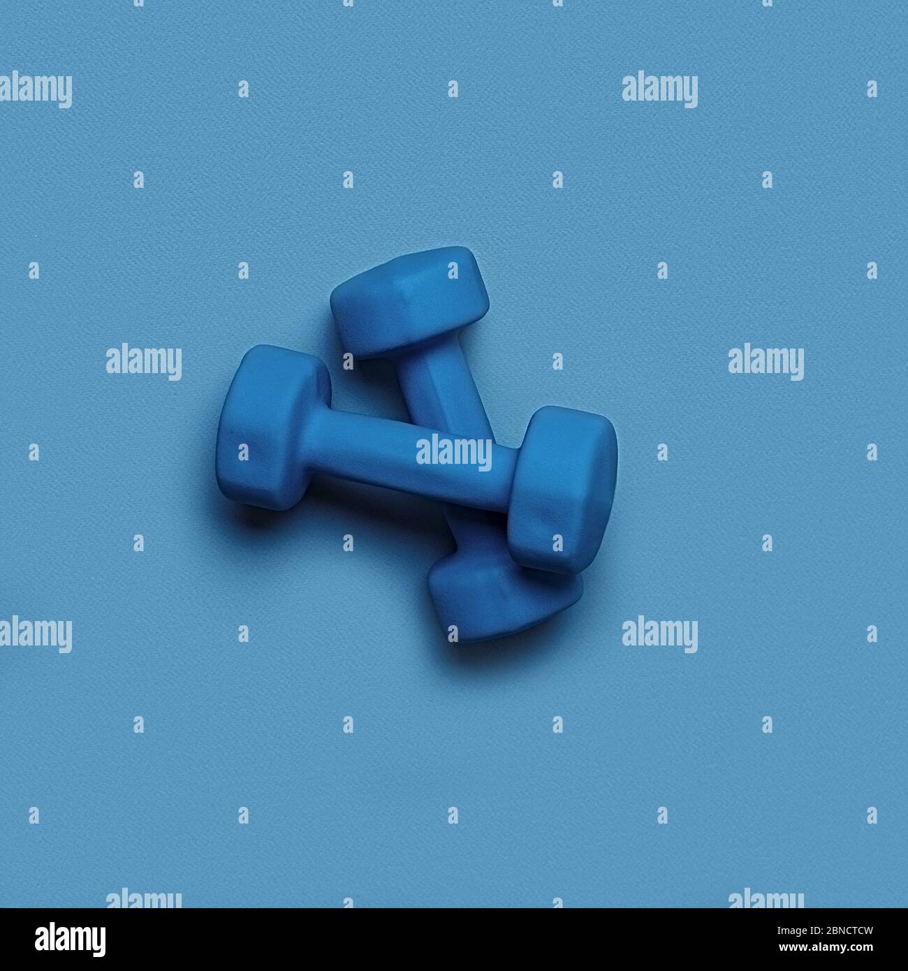 Two dumbbells of blue color isolated on a light blue background ...
