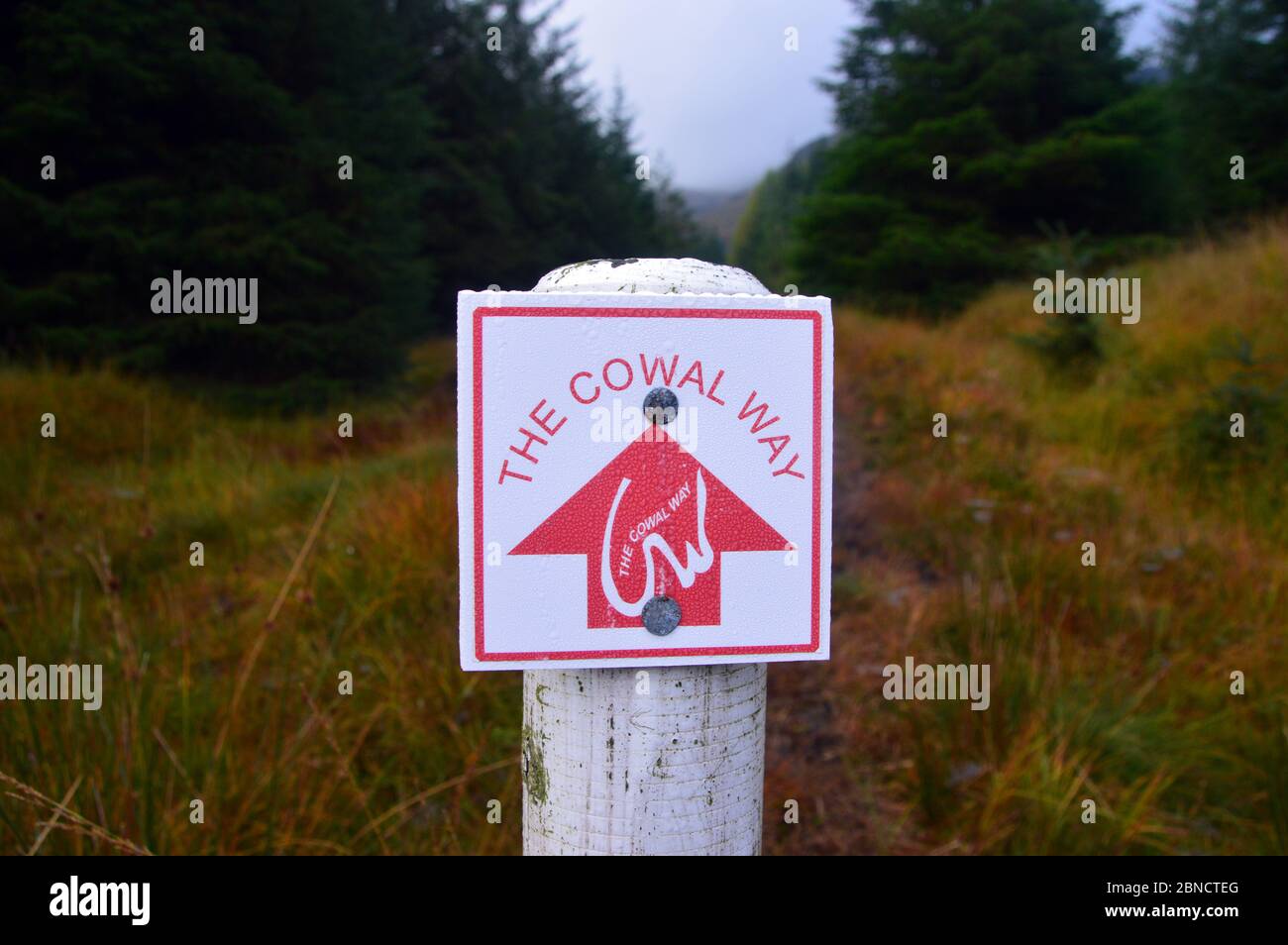 Signpost for the Cowel Way in the Lettermay Forest on route to the ...
