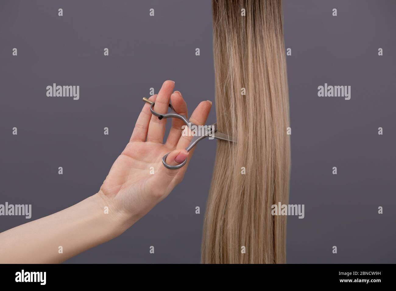 Haircut samples hi-res stock photography and images - Alamy