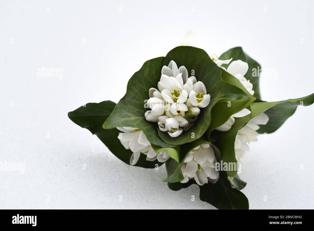Snowdrops bouquet in the snow, simple spring concept. V-day, Valentine ...