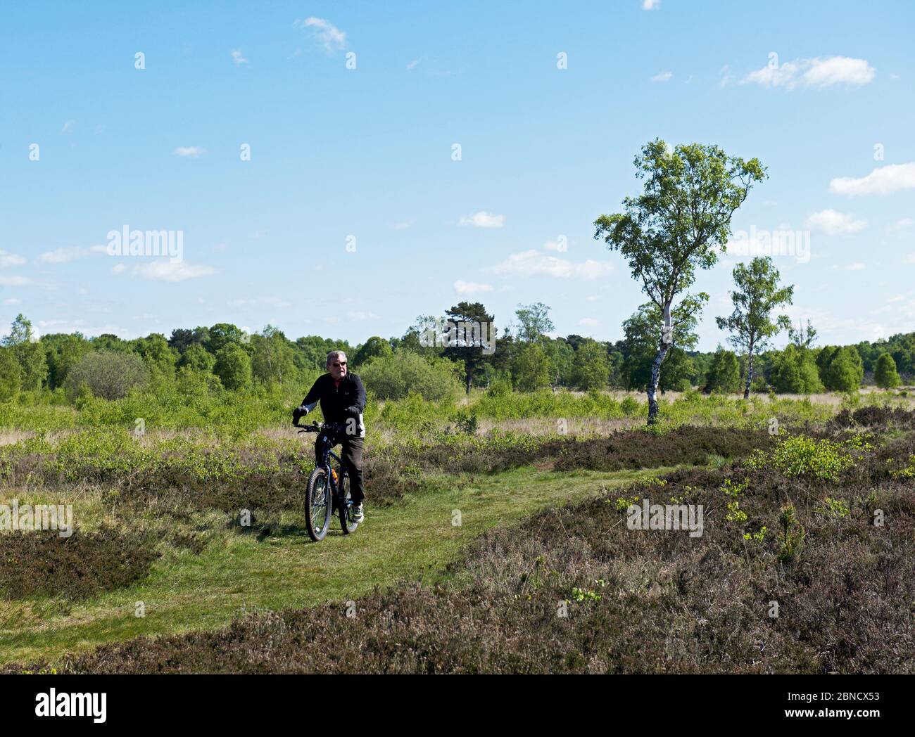 Strensall Common High Resolution Stock Photography and Images - Alamy