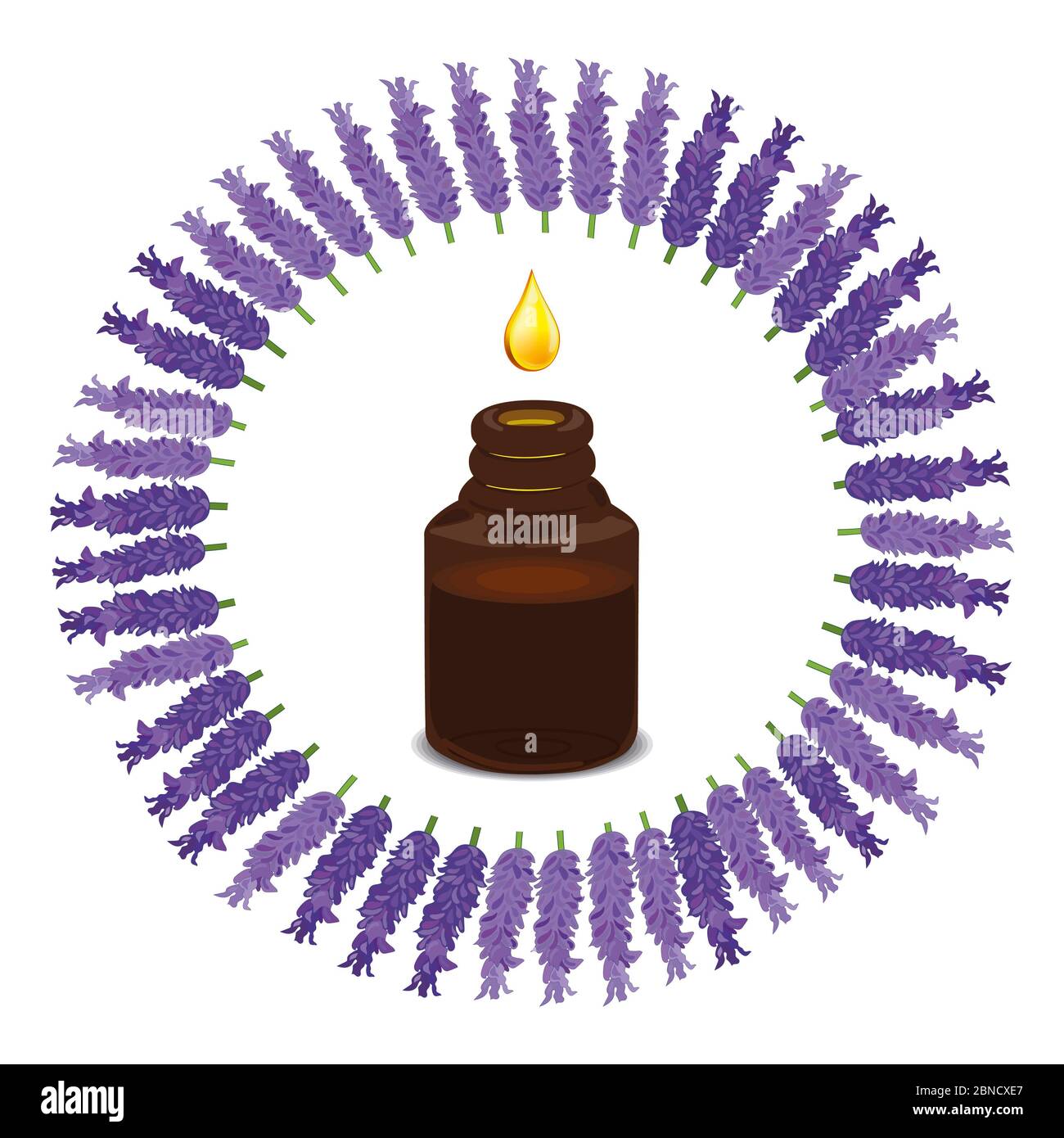Lavender Essential Oils Clip Art