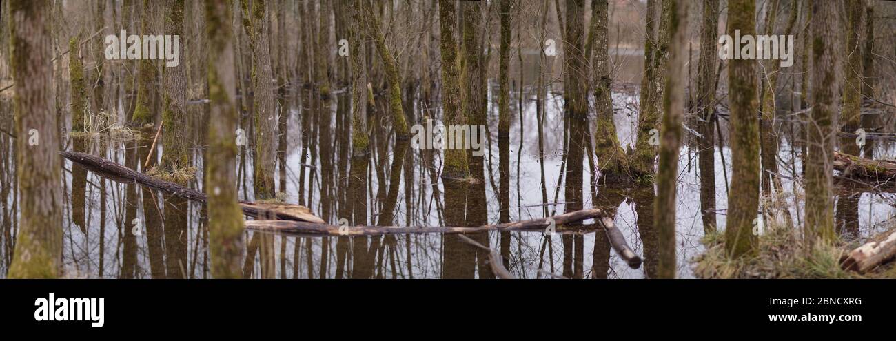 Kolbermoor hi-res stock photography and images - Alamy