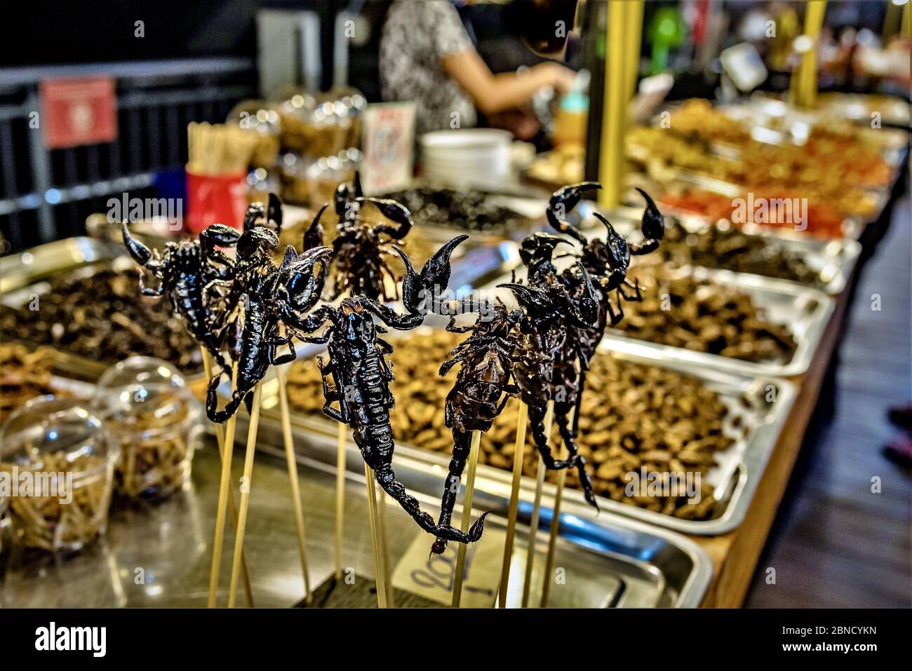 Scorpions legs hi-res stock photography and images - Alamy