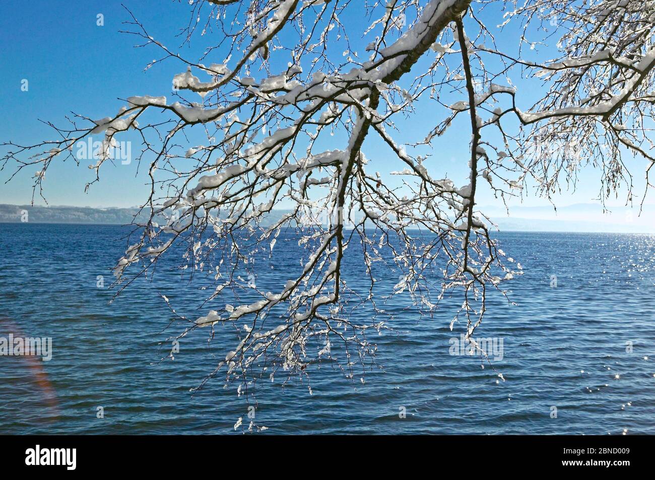 Winter in Tutzing on Lake Starnberg, Bavaria, Germany, Europe Stock ...