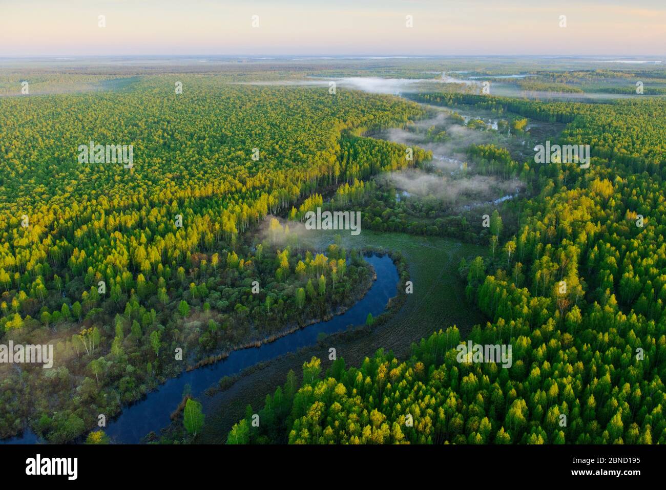Alam pedja nature reserve hi-res stock photography and images - Alamy