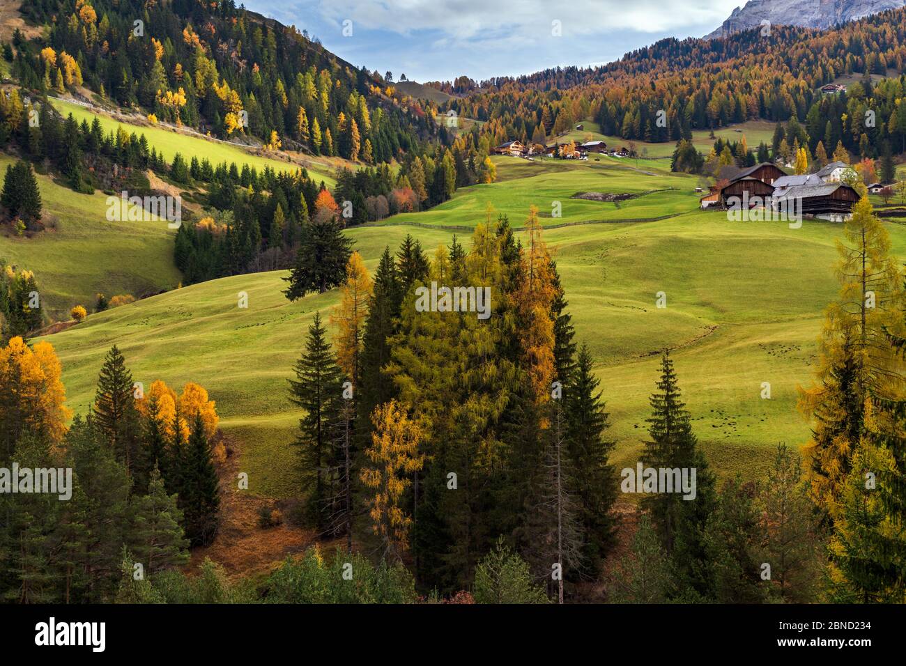Sunny colorful autumn alpine Dolomites rocky mountain scene, Sudtirol ...
