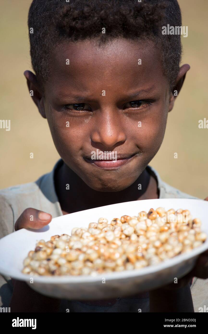 Amhara child with 'kolo', a snack made from roasted barley, Jimba ...