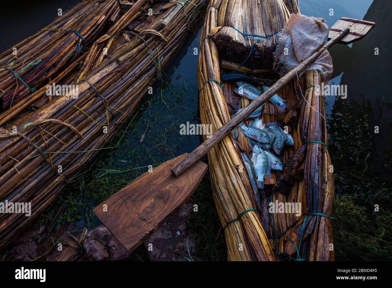 Lake tana canoes hi-res stock photography and images - Alamy