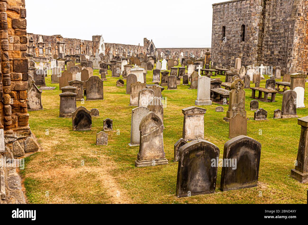 The cemetery of St Andrews, Scotland Stock Photo - Alamy