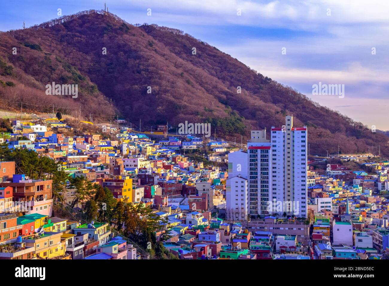 Busan,South Korea 1/16/2020 Gamcheon Culture Village formed by houses ...