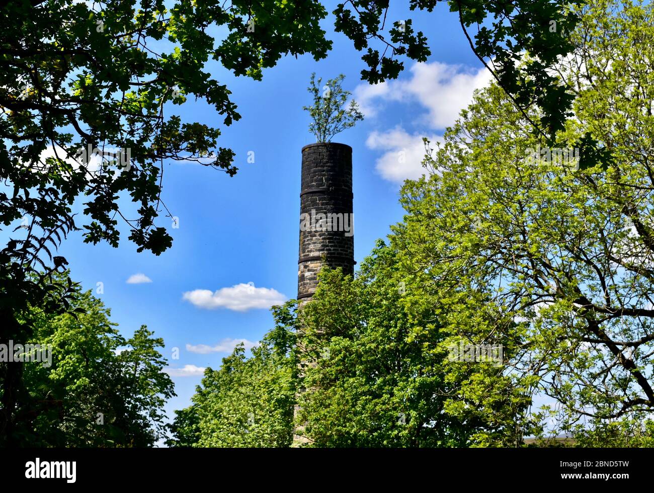 Abandoned old mill chimney at Rakewood Mill Stock Photo - Alamy