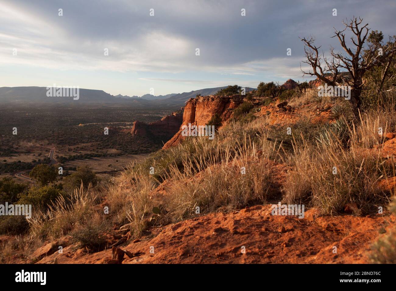 Scenic overlook in Sedona, Arizona, USA Stock Photo - Alamy