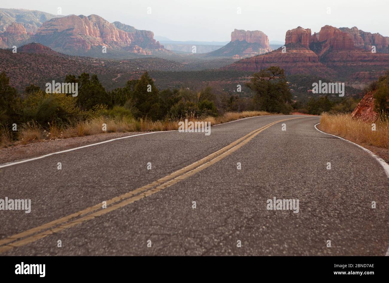 Desert pavement surface hi-res stock photography and images - Alamy