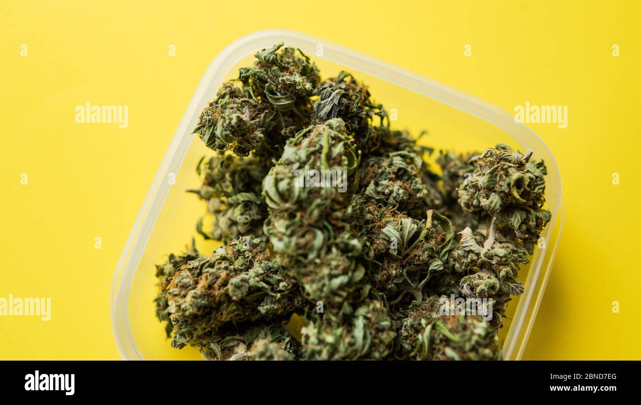 Healing medical strains of weed Stock Photo - Alamy