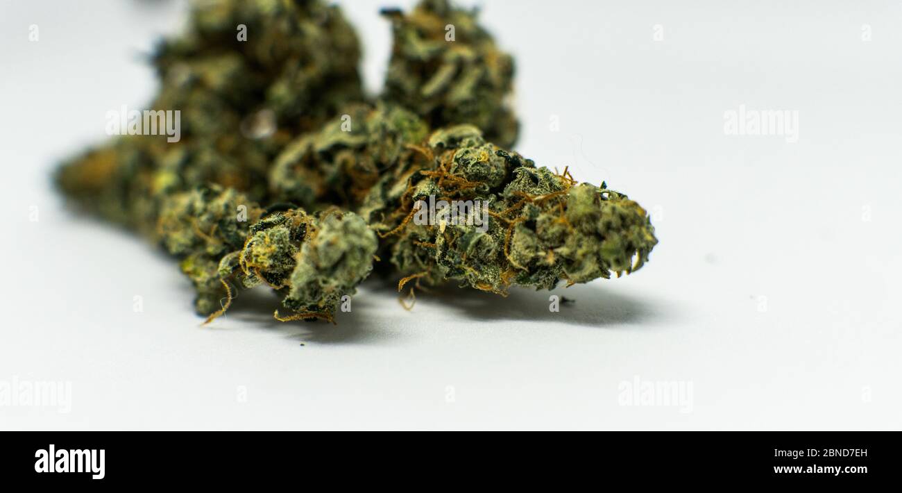 Healing medical strains of weed Stock Photo - Alamy