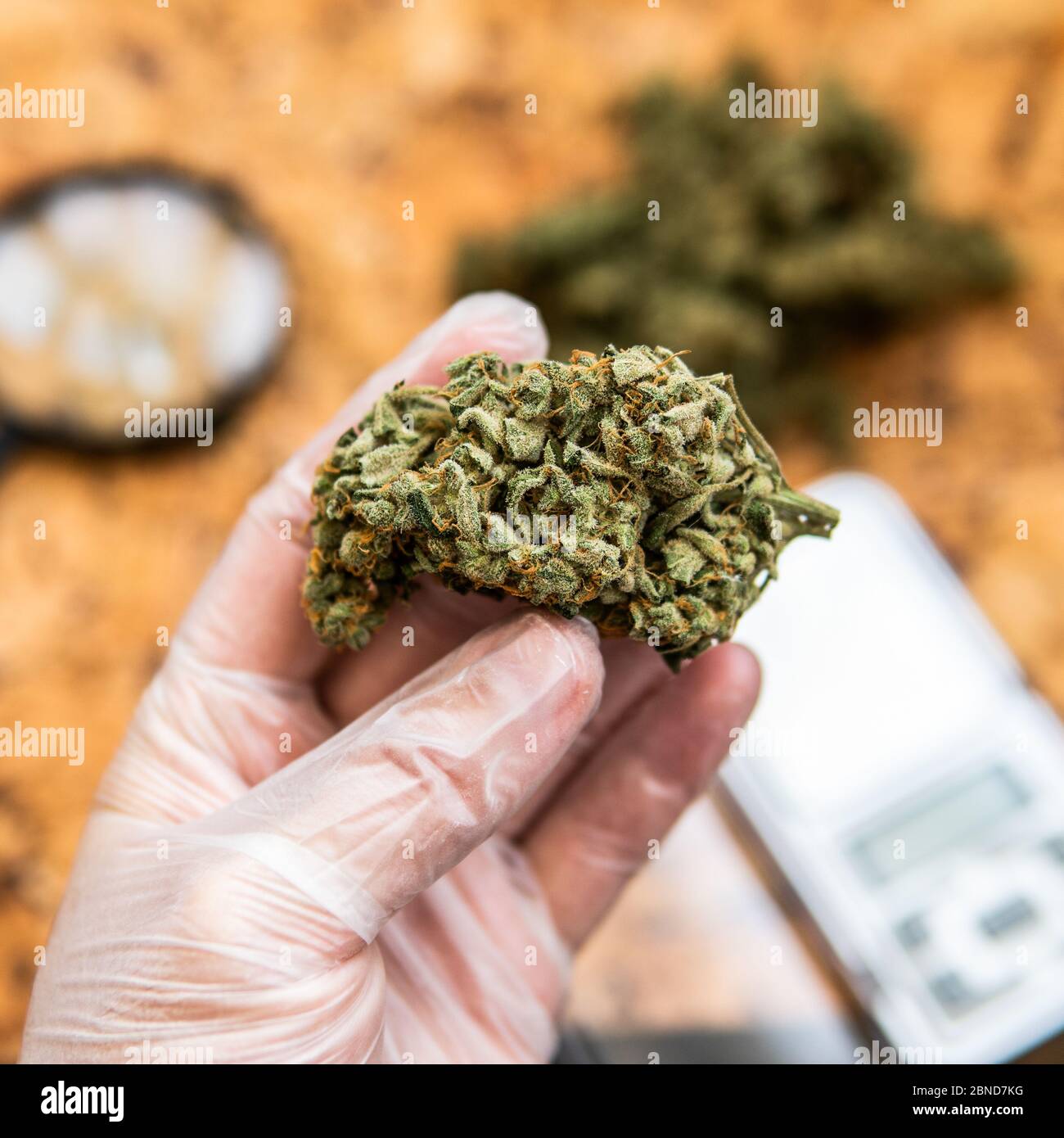 Healing medical strains of weed Stock Photo - Alamy