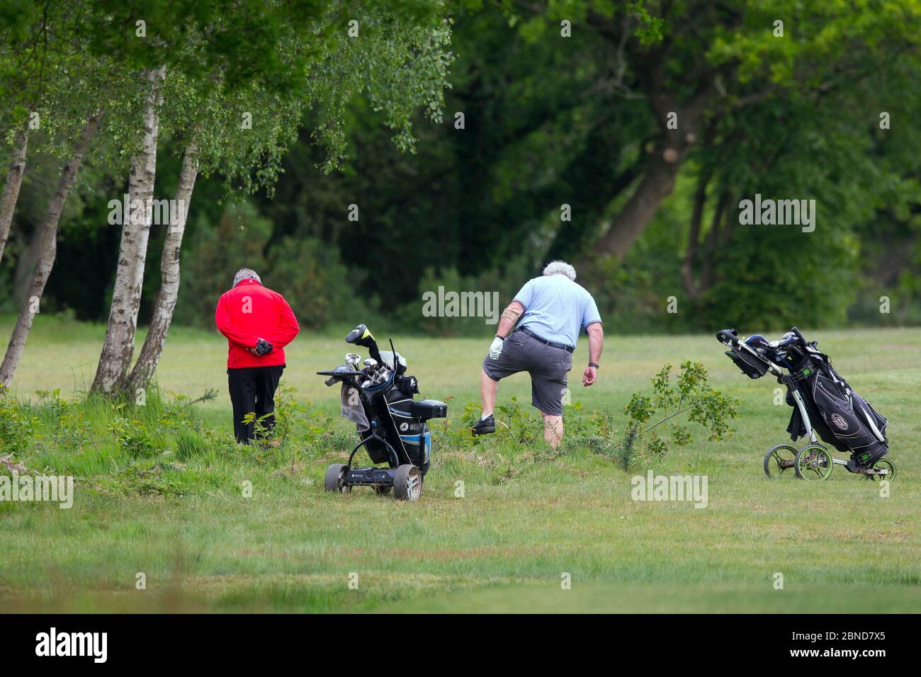 Finding golf balls hi-res stock photography and images - Alamy