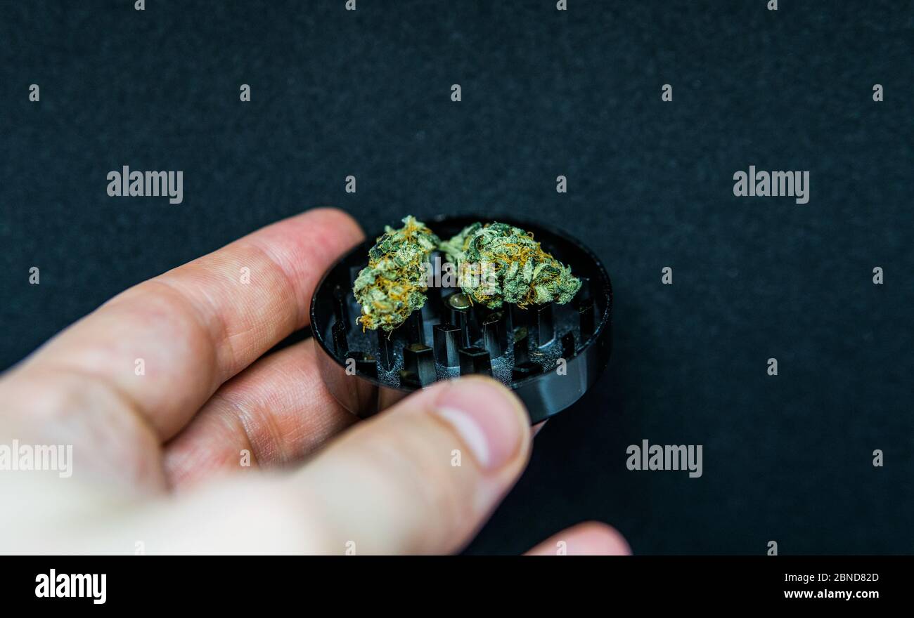 Healing medical strains of weed Stock Photo - Alamy