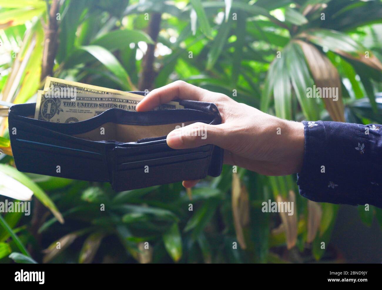 Man hand reaching vallet hi-res stock photography and images - Alamy