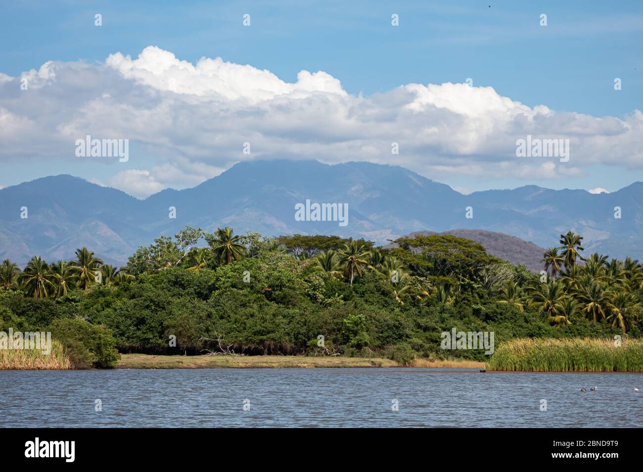 Tropical landscape with mountains in the background Stock Photo - Alamy