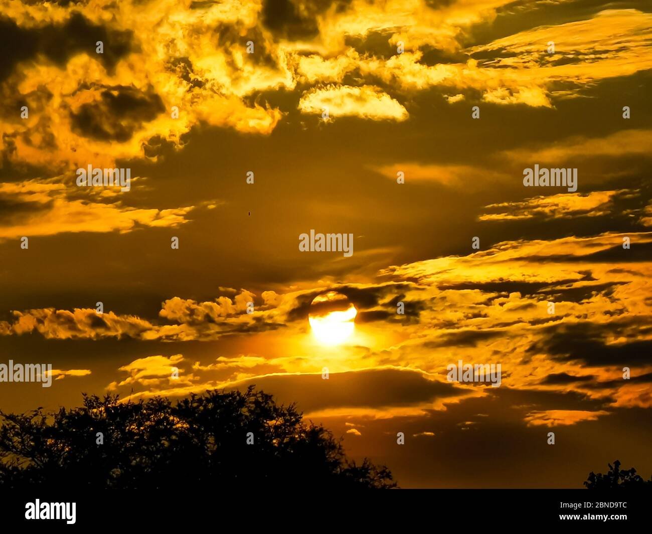 Orange contrast hi-res stock photography and images - Alamy