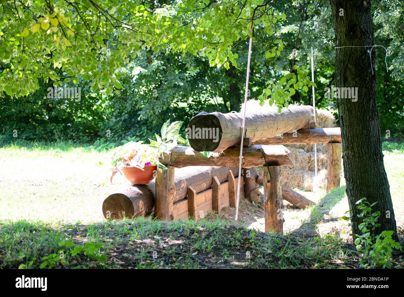 Horse bridle rules hi-res stock photography and images - Alamy