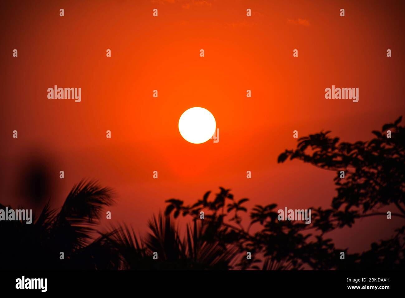 Shadow clouds sunlight trees sunset sky silhouette hi-res stock ...