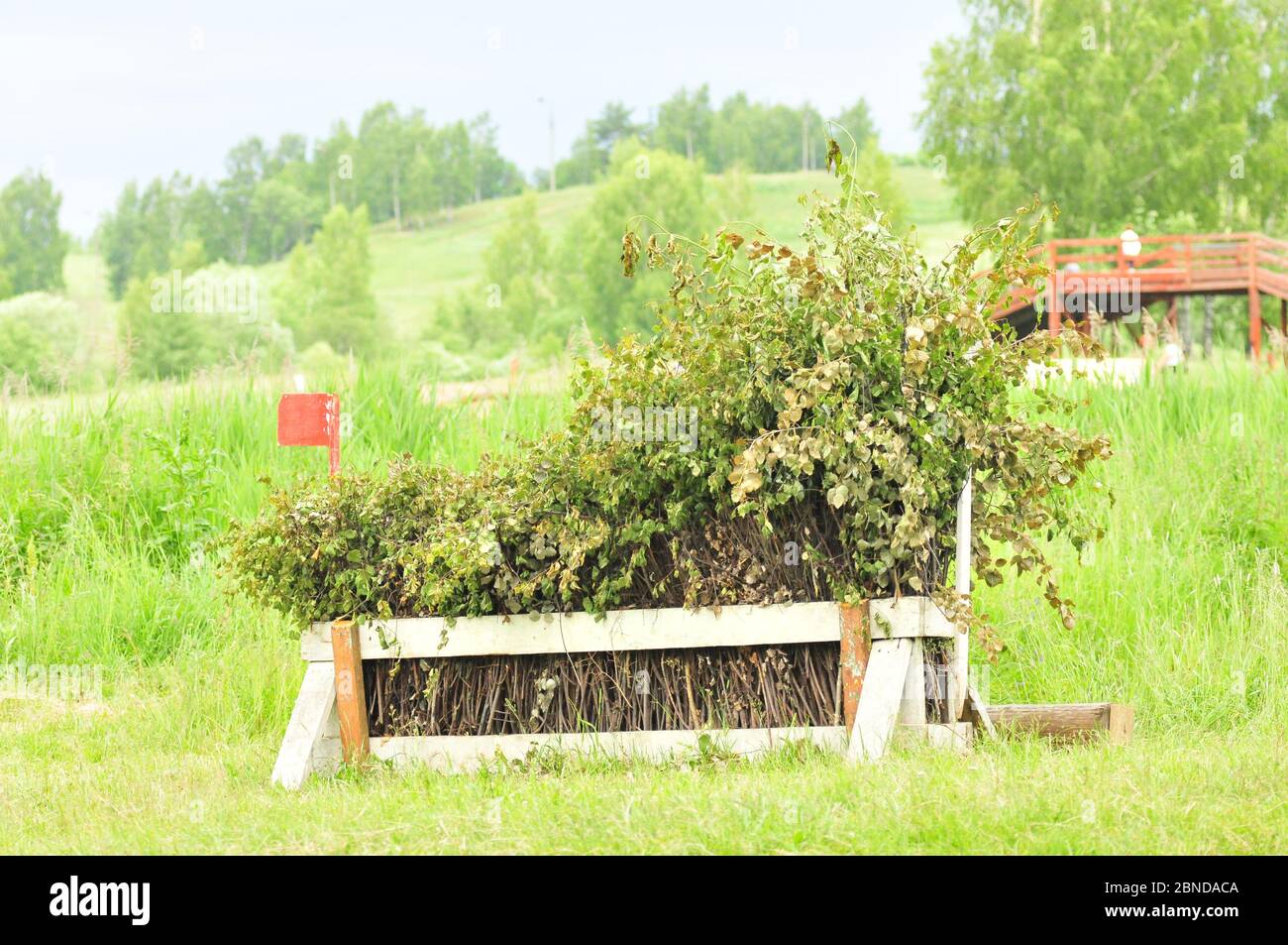 A cross-country a brush fence obstacle on a cross country course Stock ...