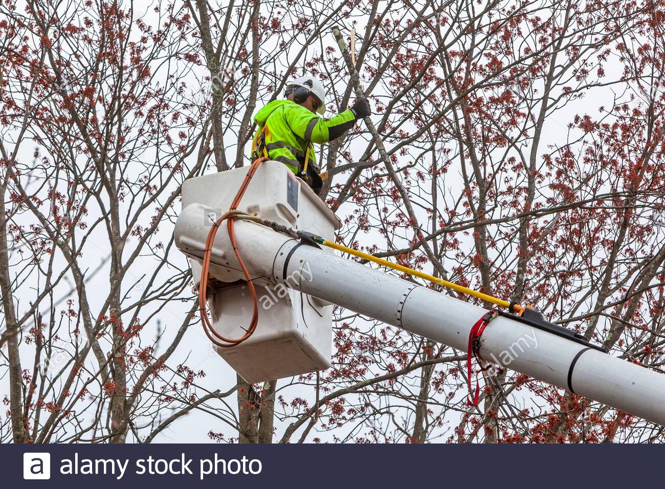 Picker Up High Resolution Stock Photography and Images - Alamy