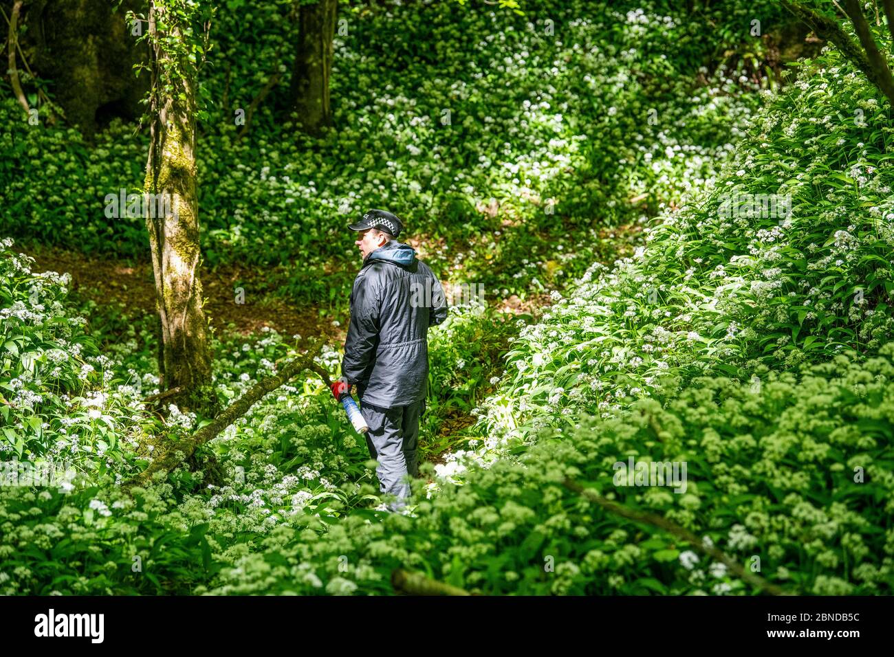 A police search team search woodland next to Stowfield Quarry near ...