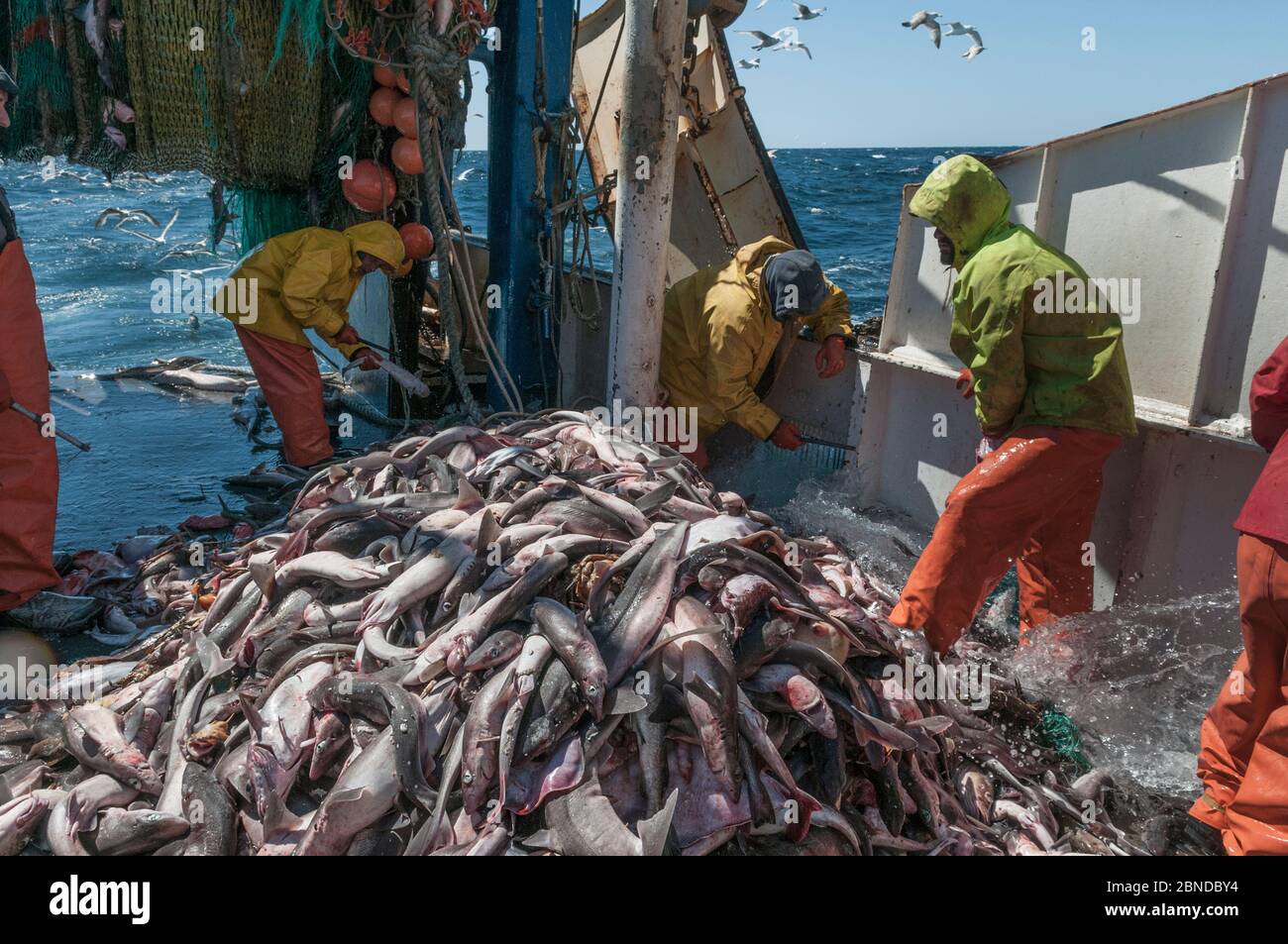 Georges bank fishing boats hi-res stock photography and images - Alamy