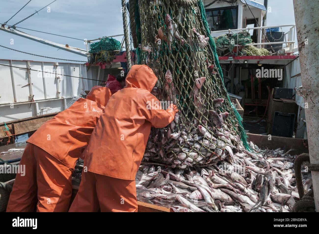 Commercial fishing trawler full nets hi-res stock photography and ...