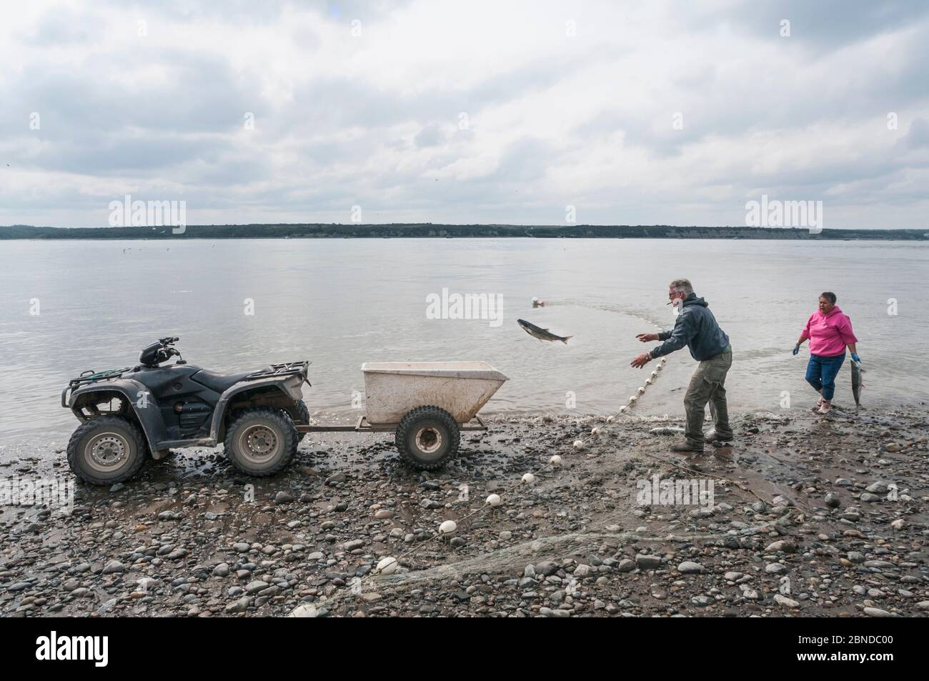Bristol bay alaska beach hi-res stock photography and images - Alamy