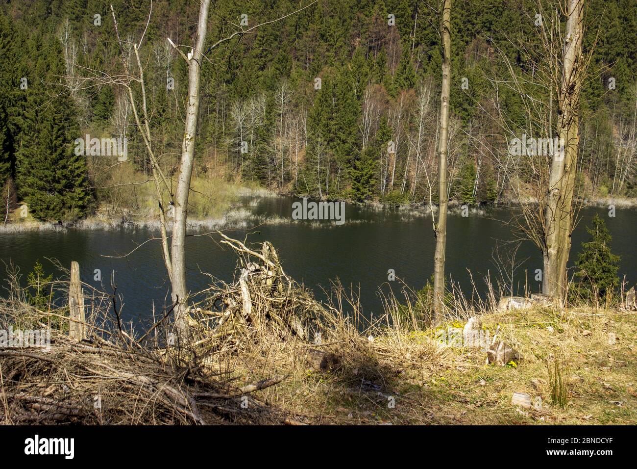 Drinking water reservoir. Sance Recice Dam in the Beskydy Mountains ...