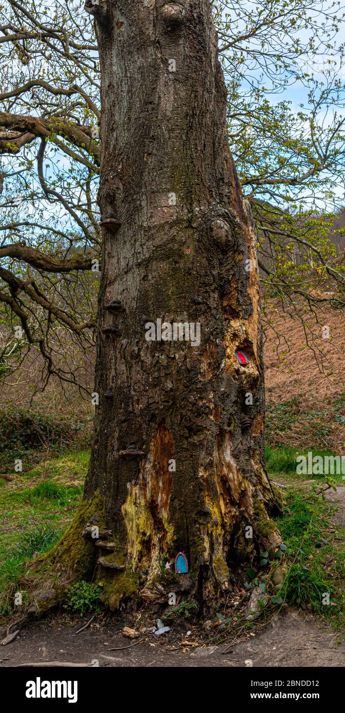 Howth Dublin Ireland Stock Photo - Alamy