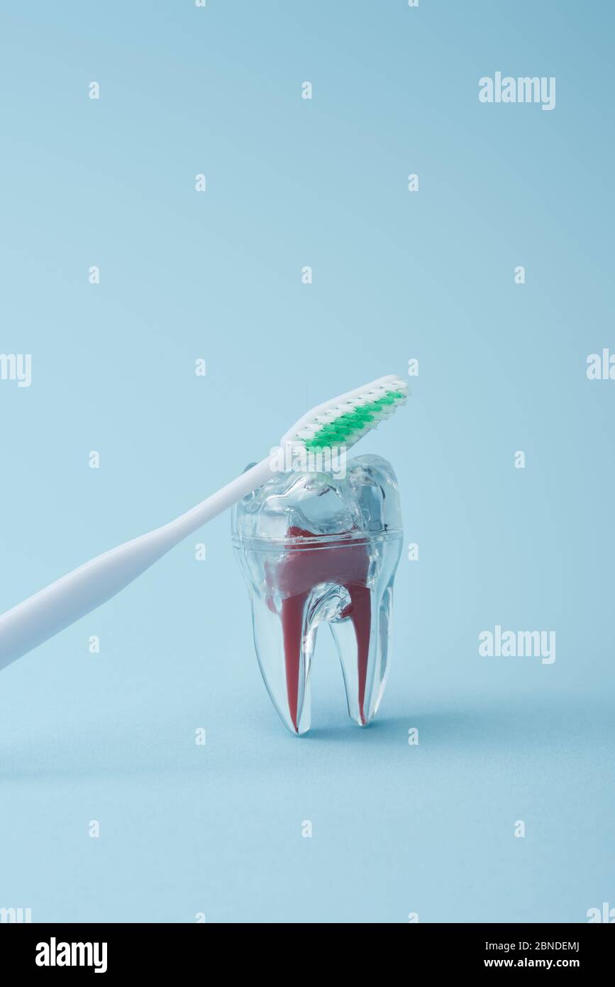 Transparent toothbrush on green hi-res stock photography and images - Alamy