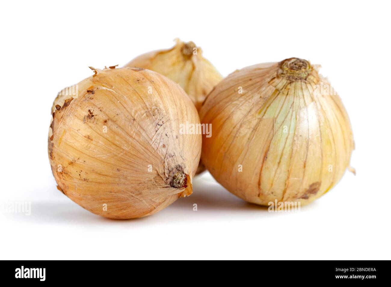 Fresh onion bulbs isolated on white background Stock Photo - Alamy