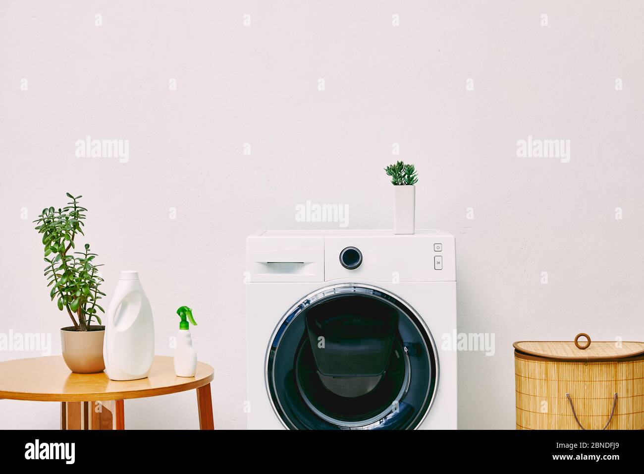 green plants and bottles near coffee table, laundry basket and washing ...