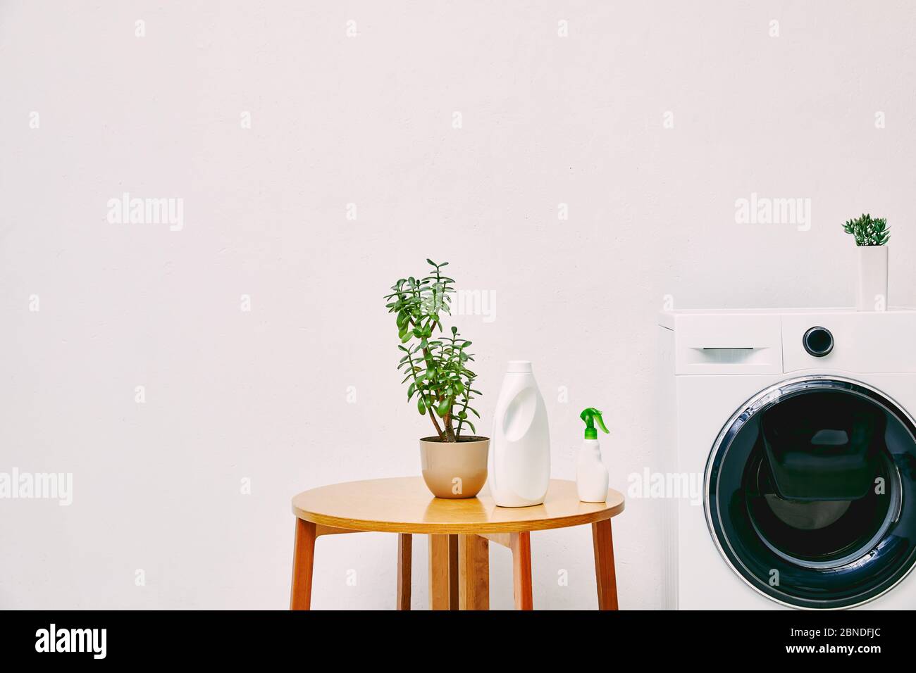 green plant and bottles on coffee table near modern washing machine in ...