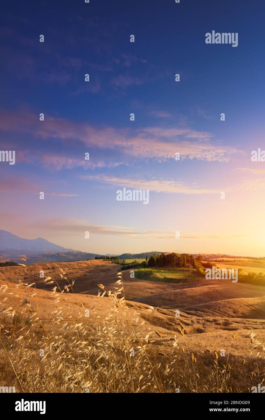 Beautiful summer italian tuscany hi-res stock photography and images ...