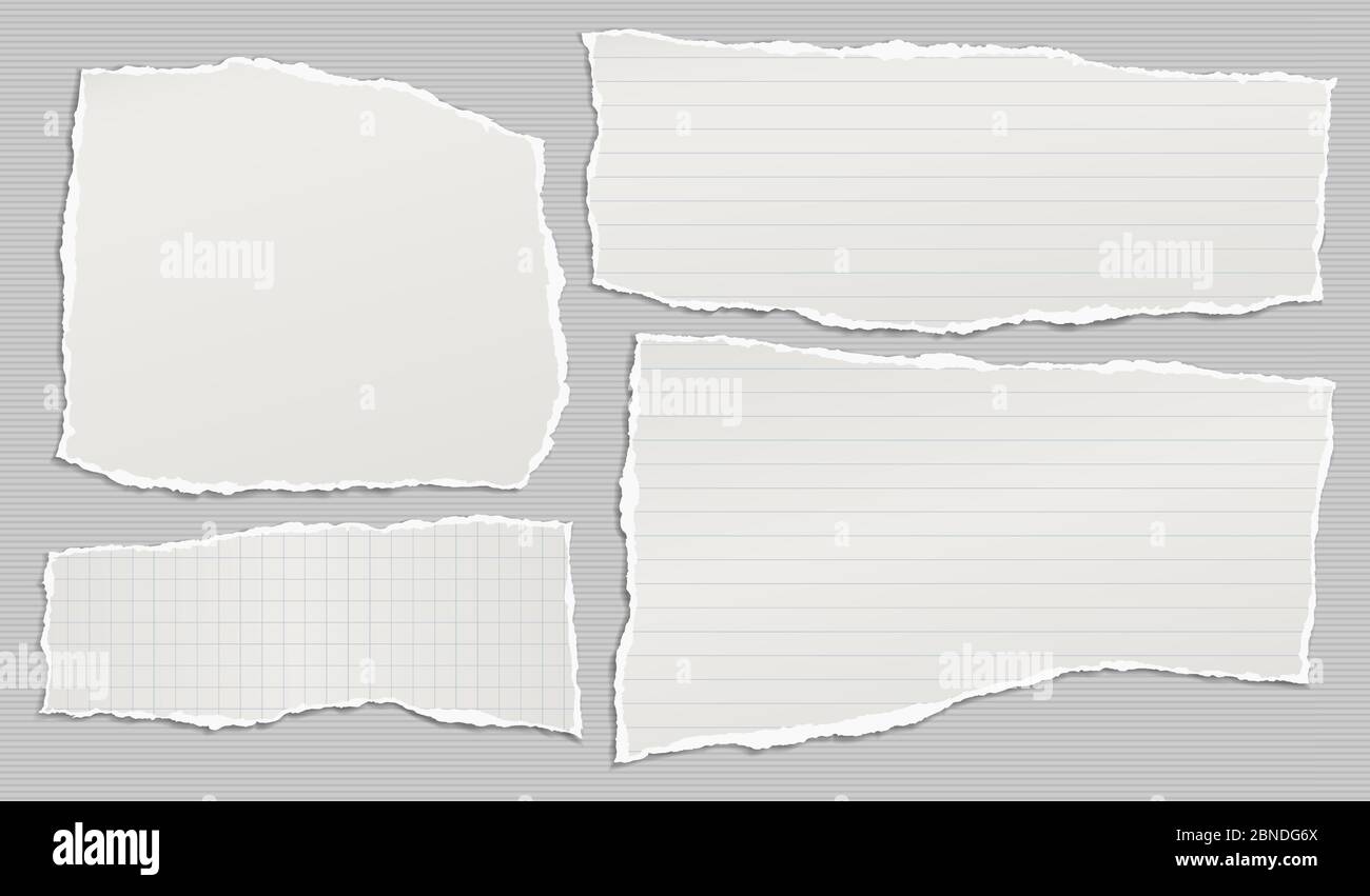 Torn of white lined, math note, notebook paper strips, pieces stuck on ...