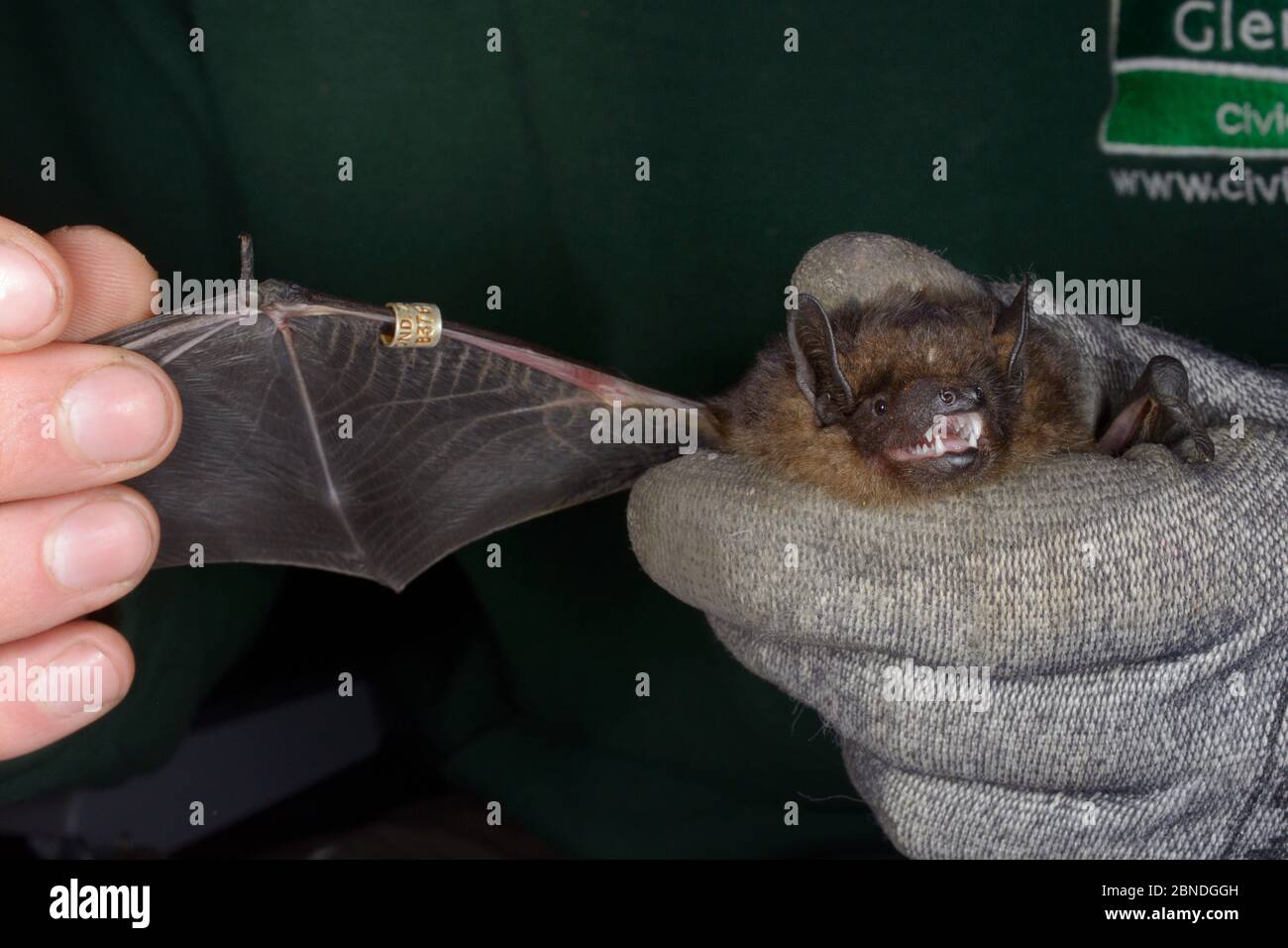 Numbered people uk hi-res stock photography and images - Alamy