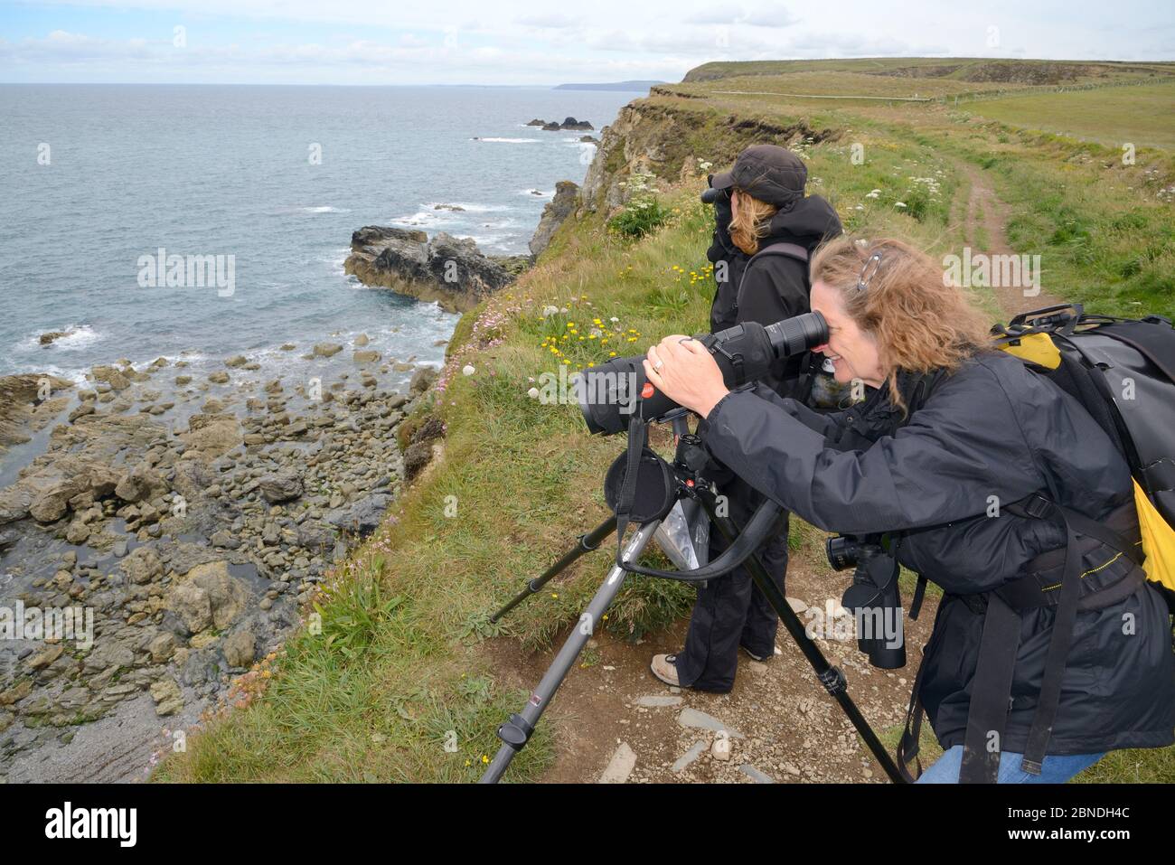 Kate sayer hi-res stock photography and images - Alamy