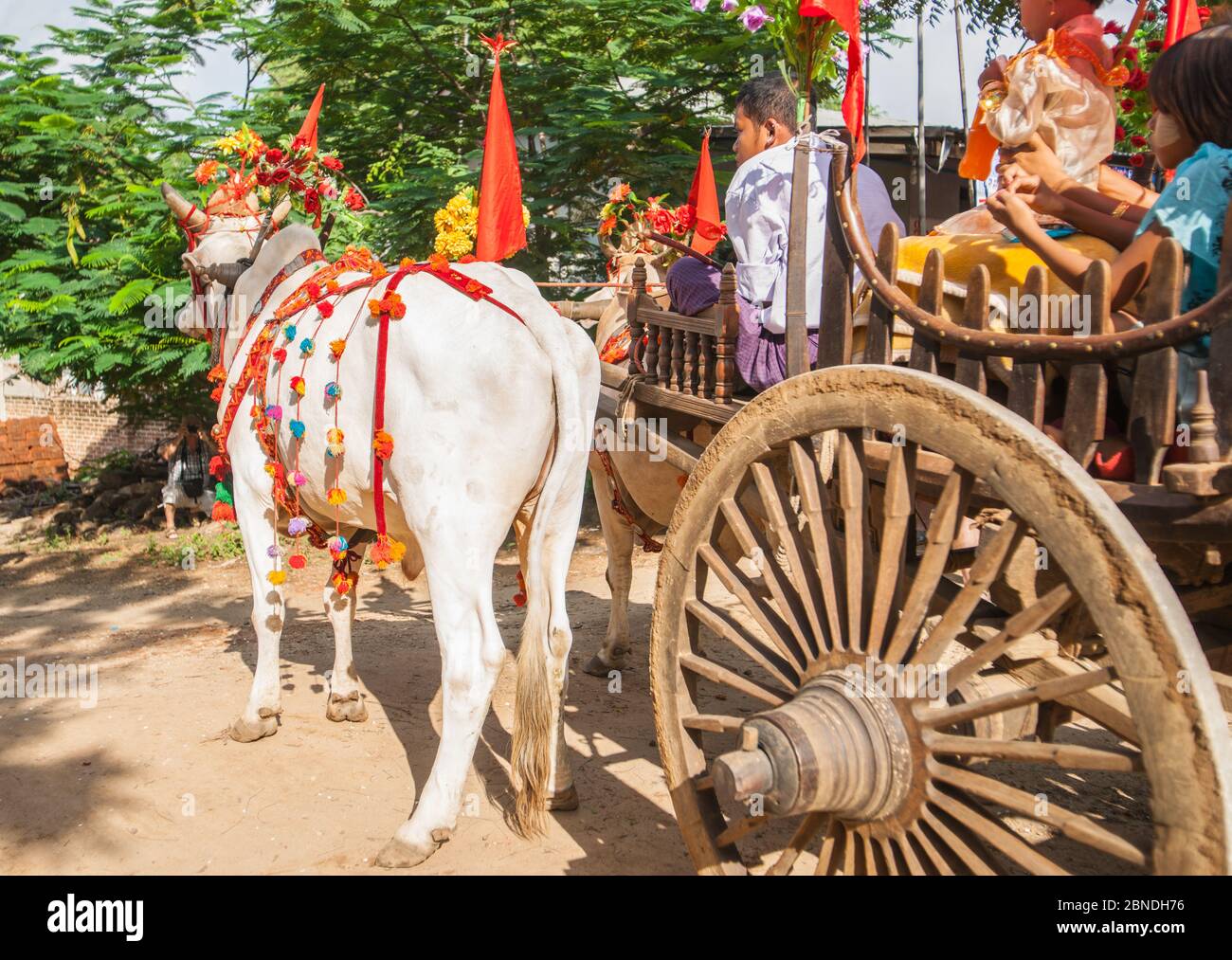 Horse Pulling Cart High Resolution Stock Photography and Images - Alamy