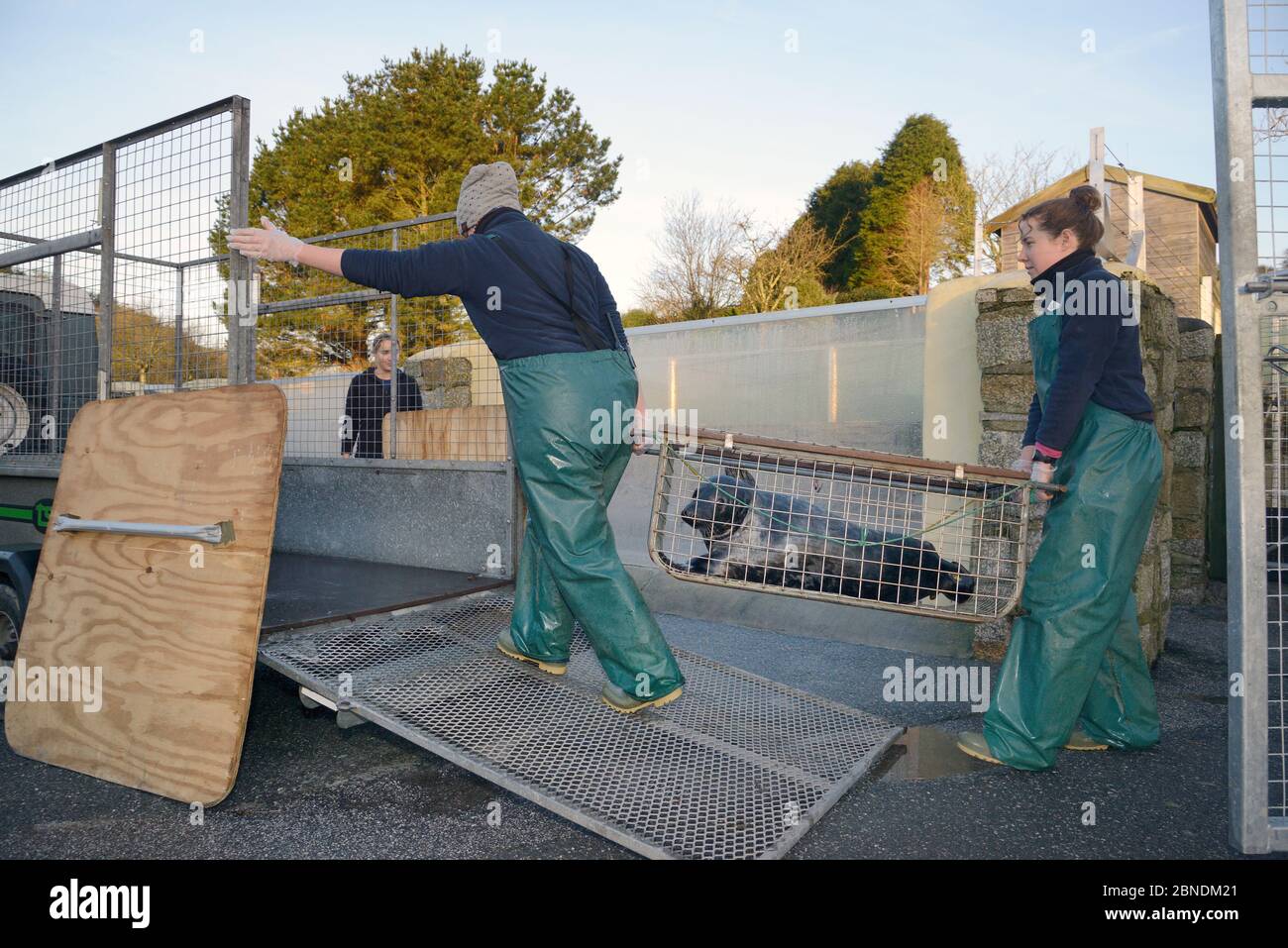 Temporary cage hi-res stock photography and images - Alamy
